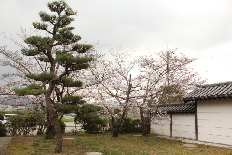 Daianji - ngôi cổ tự danh tiếng ở cố đô Nara - Heritage Vietnam Airlines
