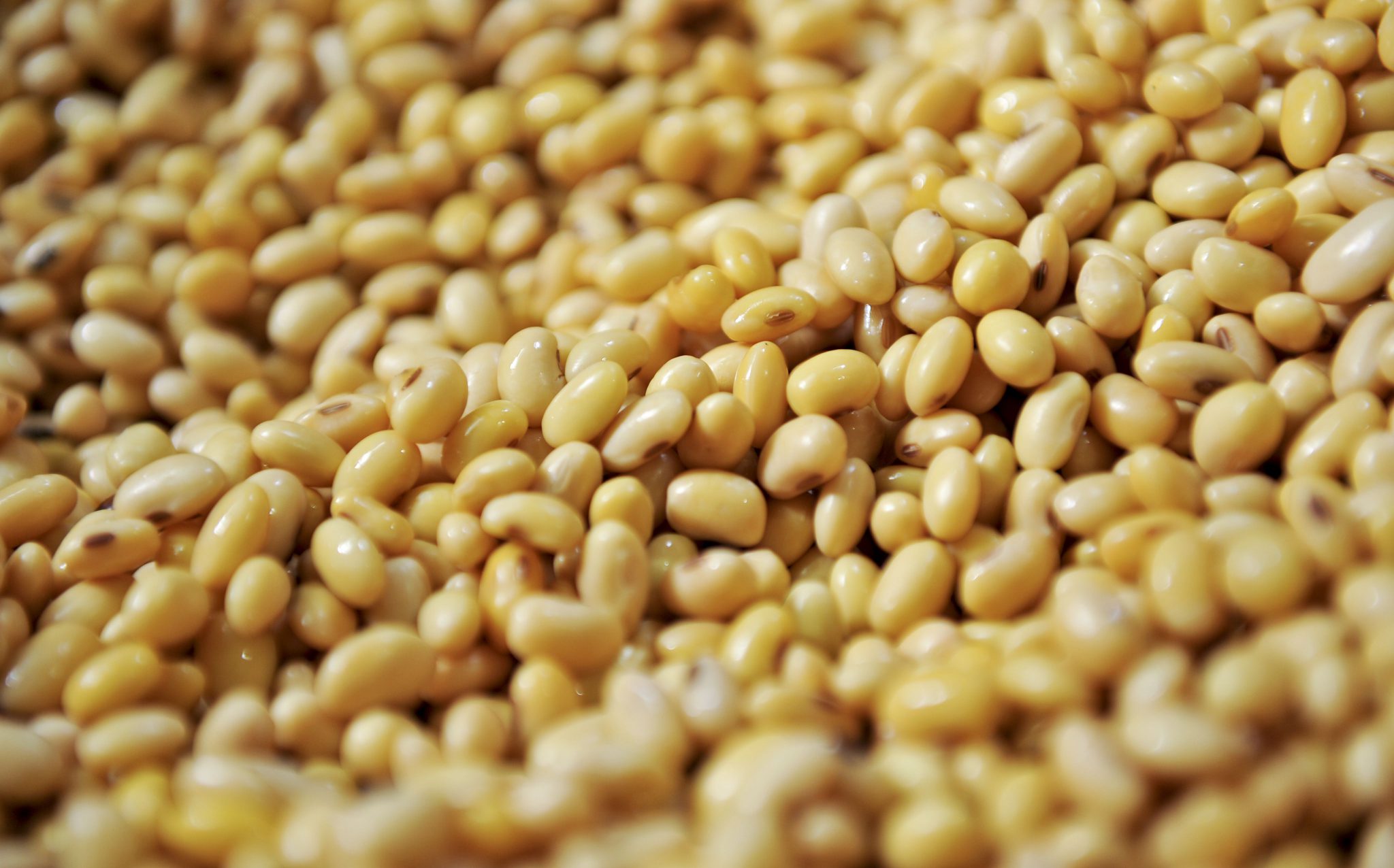 Đậu phụ làng Mơ - Heritage Vietnam Airlines