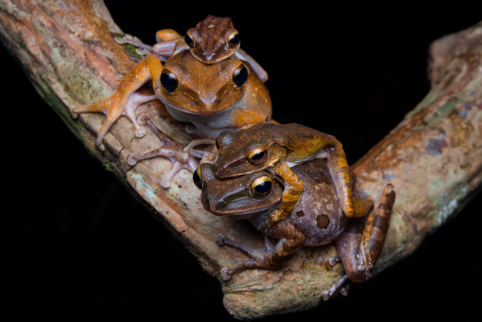 Mysteries beneath layers of green - Heritage Vietnam Airlines