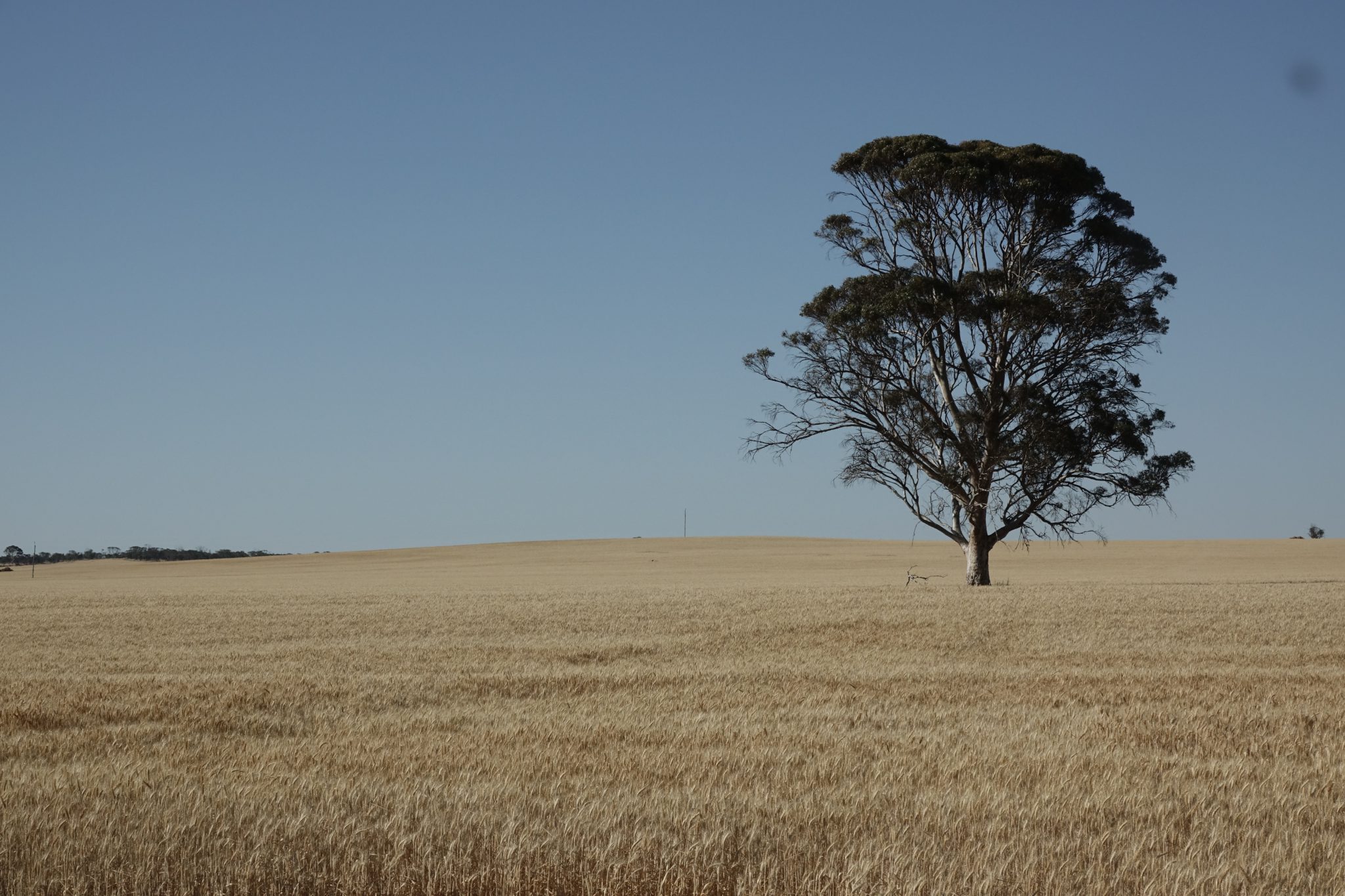 Peaceful Perth - Heritage Vietnam Airlines