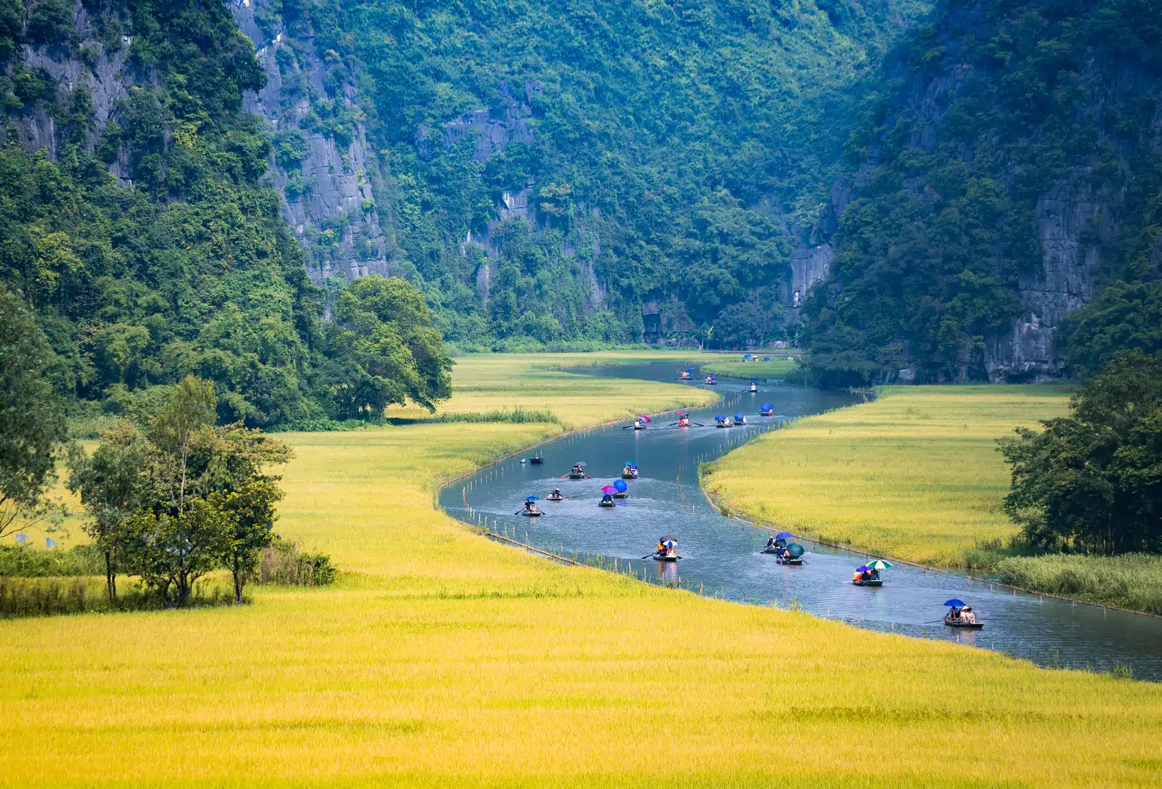 Golden Tam Coc - Heritage Vietnam Airlines