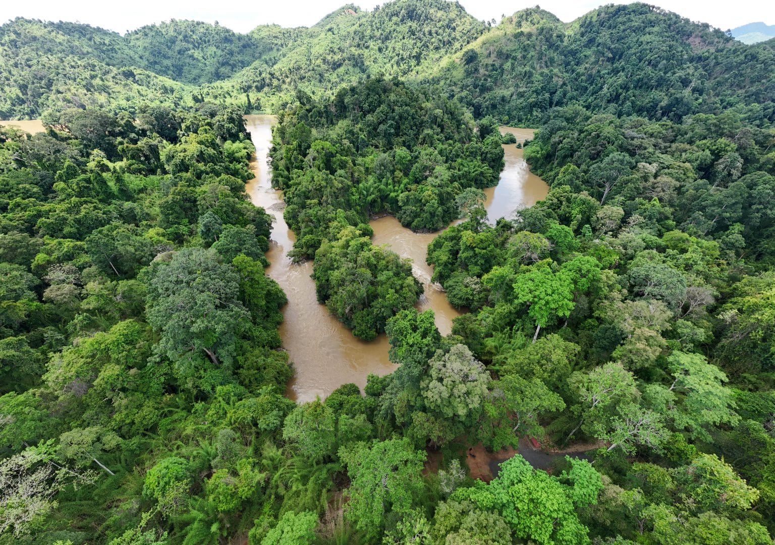 Cat Tien National Park officially joins the IUCN Green List of ...