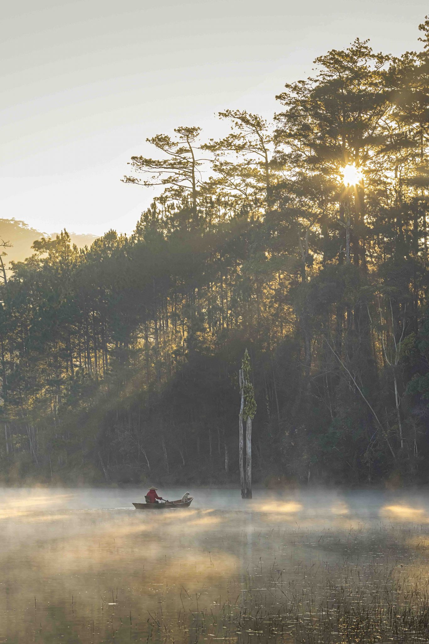 Phiêu du giữa mây mù Đà Lạt - Heritage Vietnam Airlines