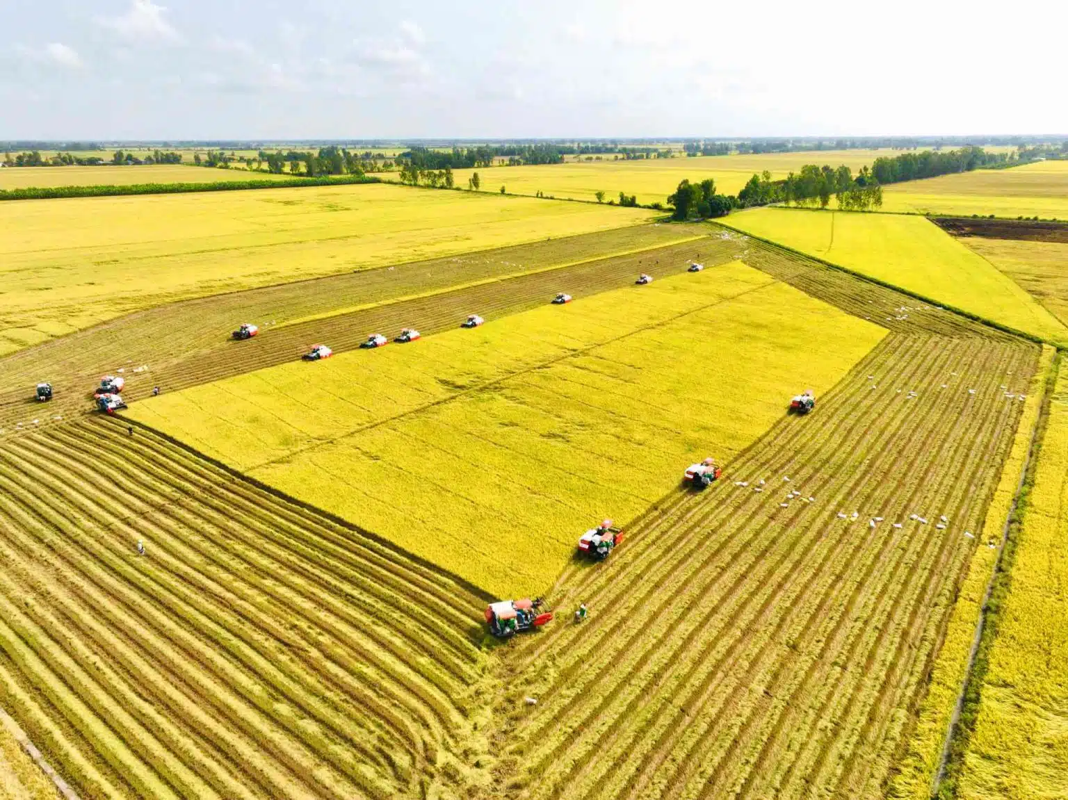 Low–emission rice cultivation: Reducing costs and raising profits ...