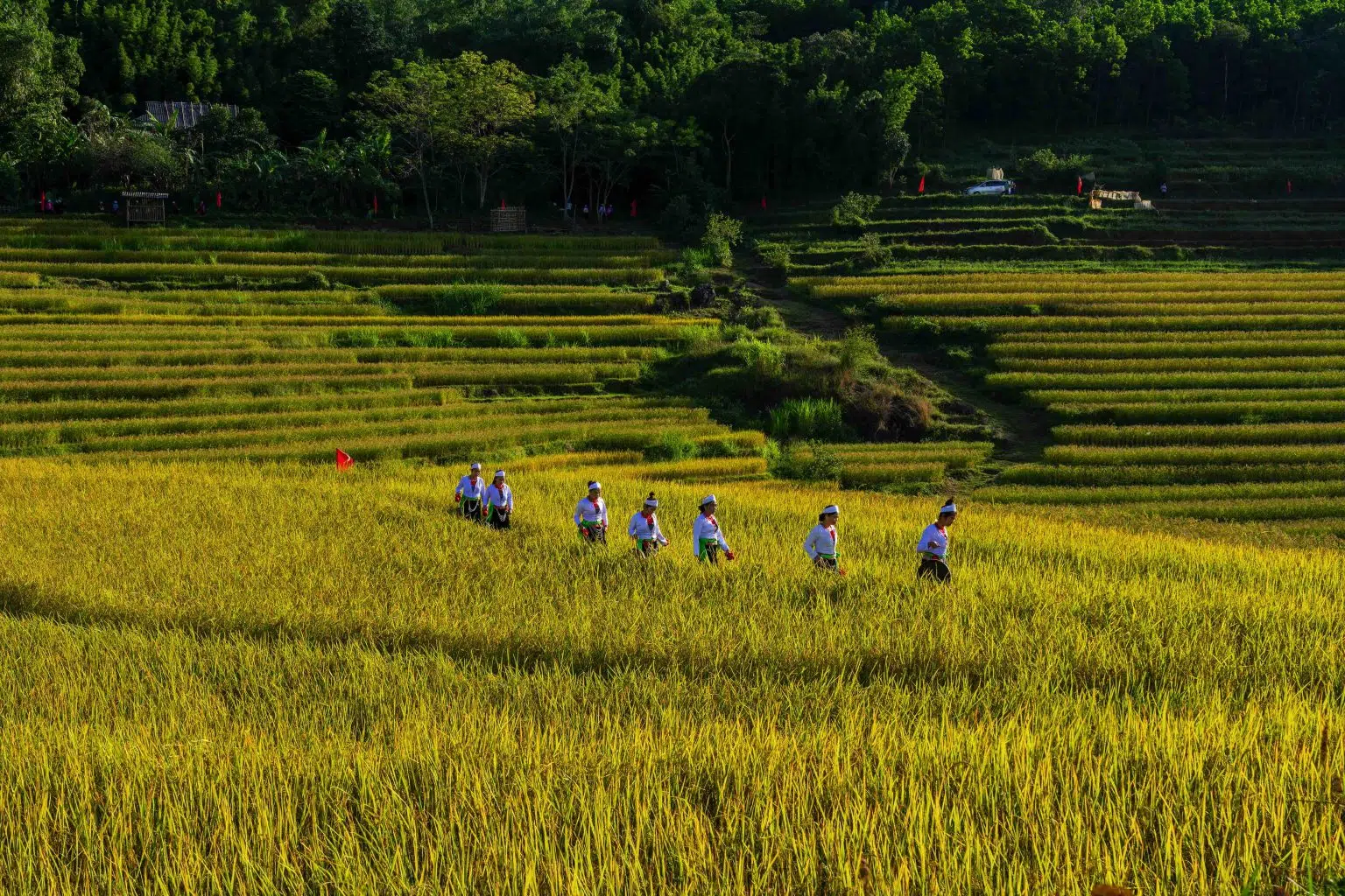 The New Rice Festival - Heritage Vietnam Airlines