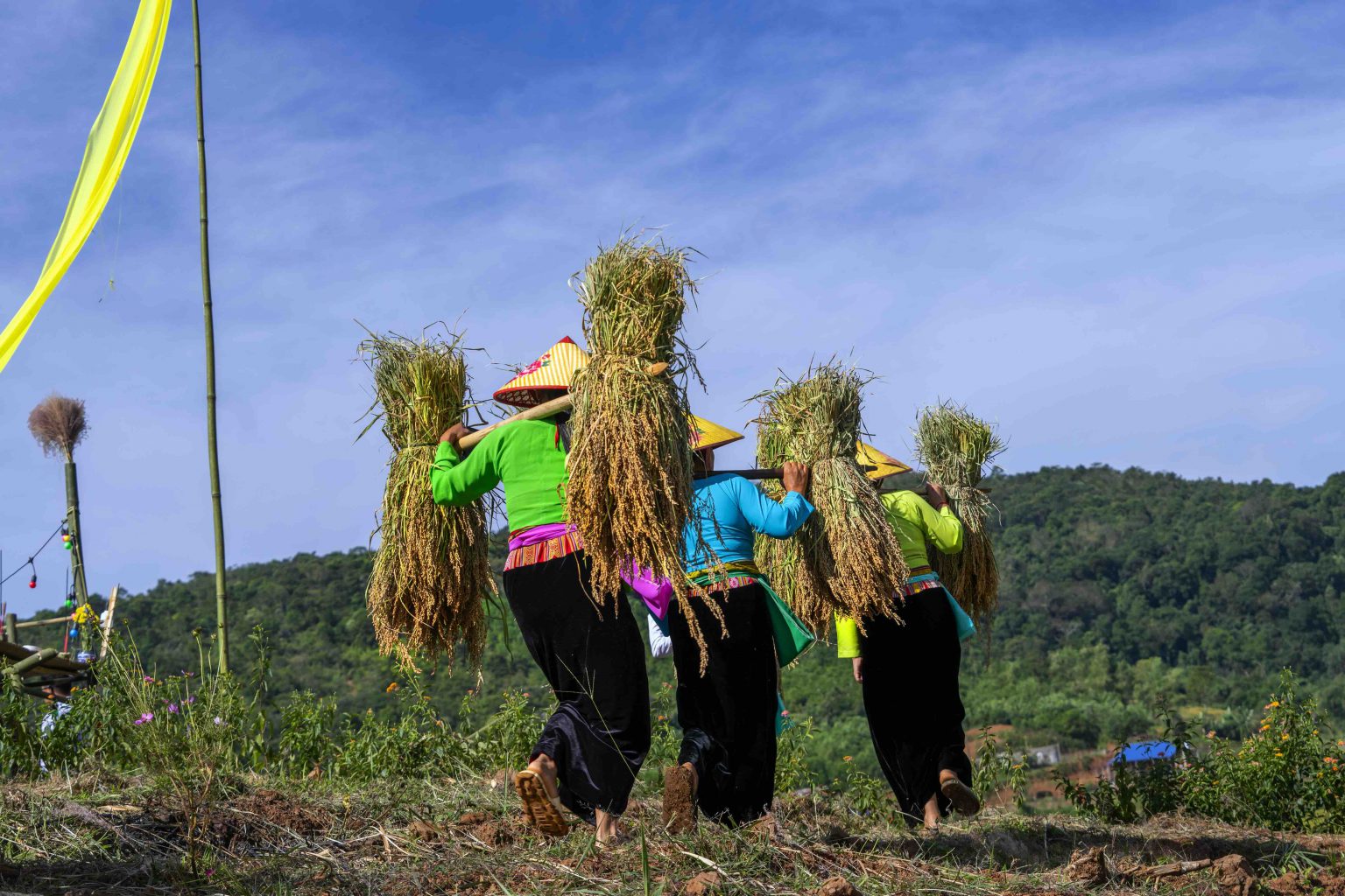 The New Rice Festival - Heritage Vietnam Airlines