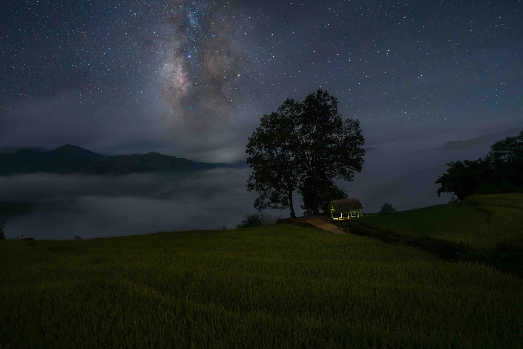 Starlight over terraced fields - Heritage Vietnam Airlines