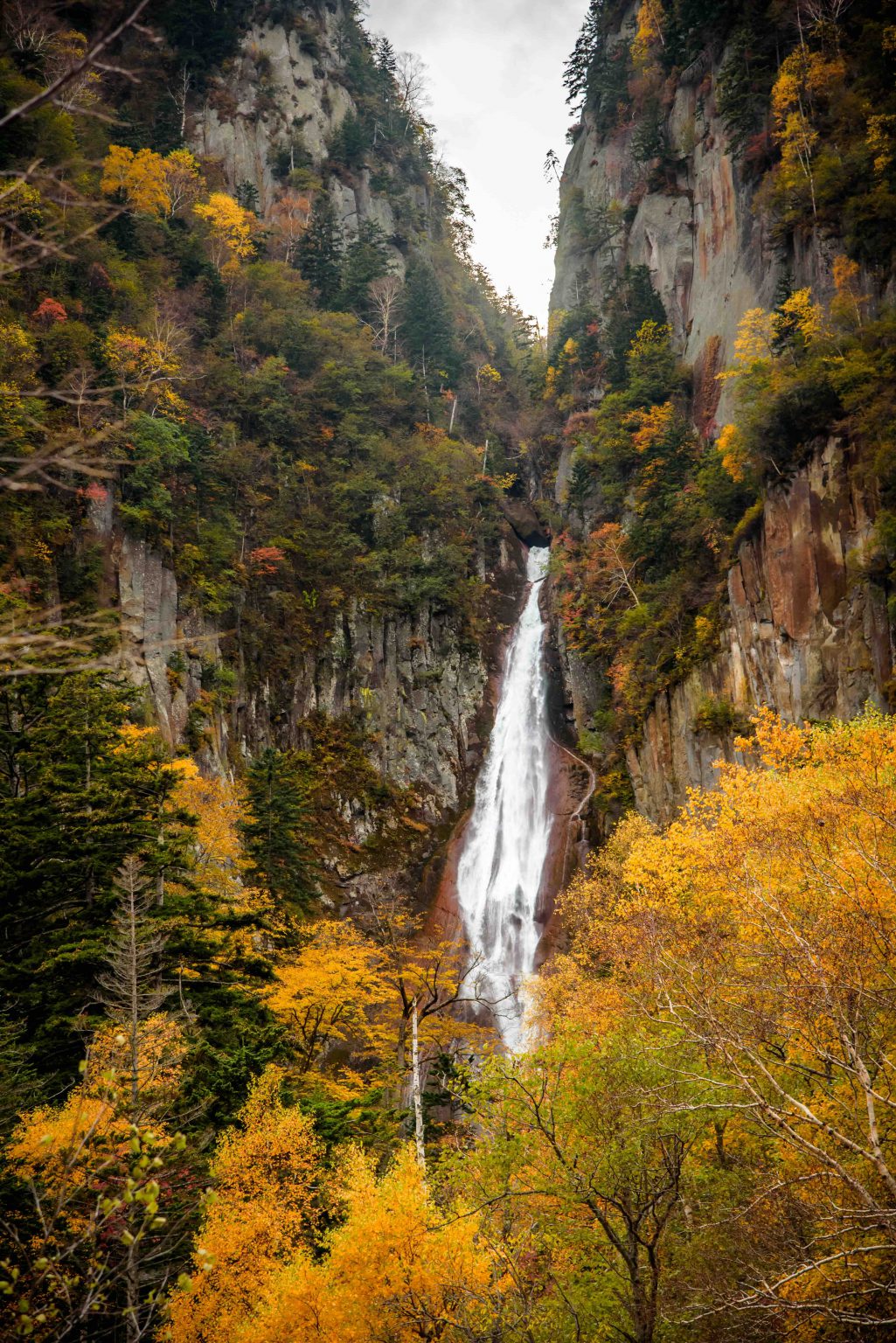 Autumn comes early in Hokkaido - Heritage Vietnam Airlines